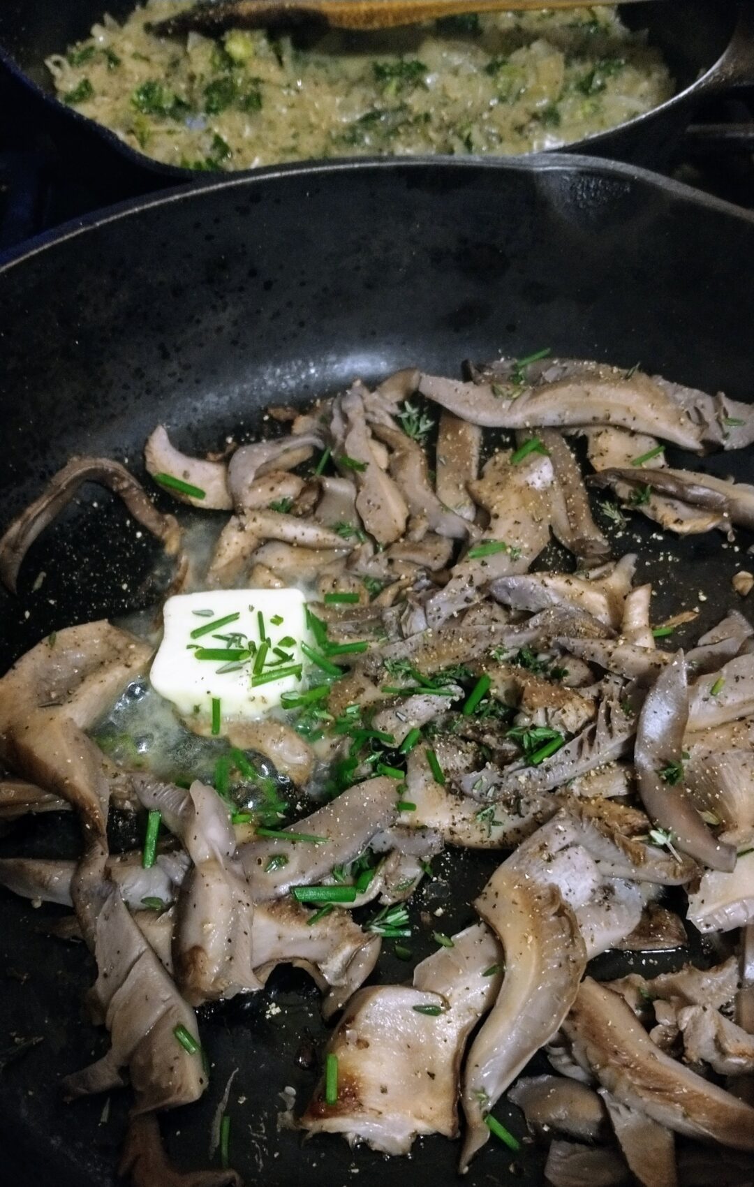 Wild Blewits, Braised Chicken, White Wine Cream Sauce & Kale Orzo