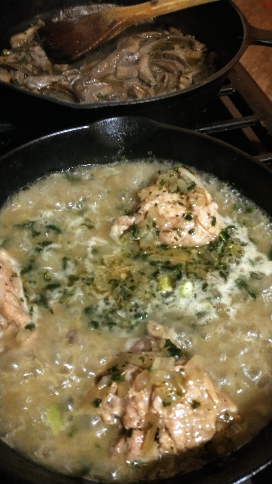 Wild Blewits, Braised Chicken, White Wine Cream Sauce & Kale Orzo