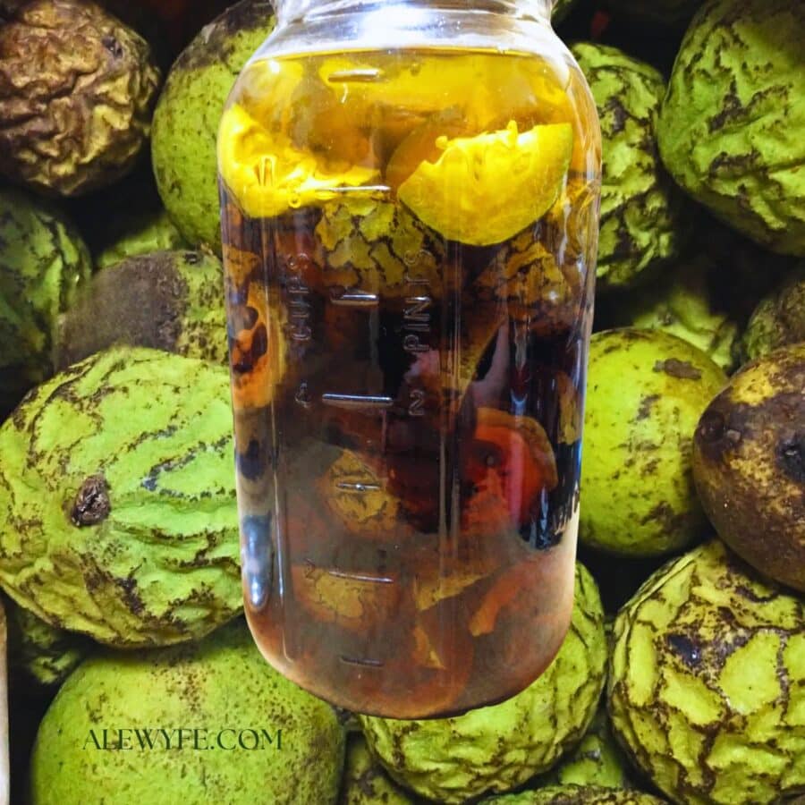 APOTHECARY: How to Make Nocino... Your Own Homemade Black Walnut Liqueur