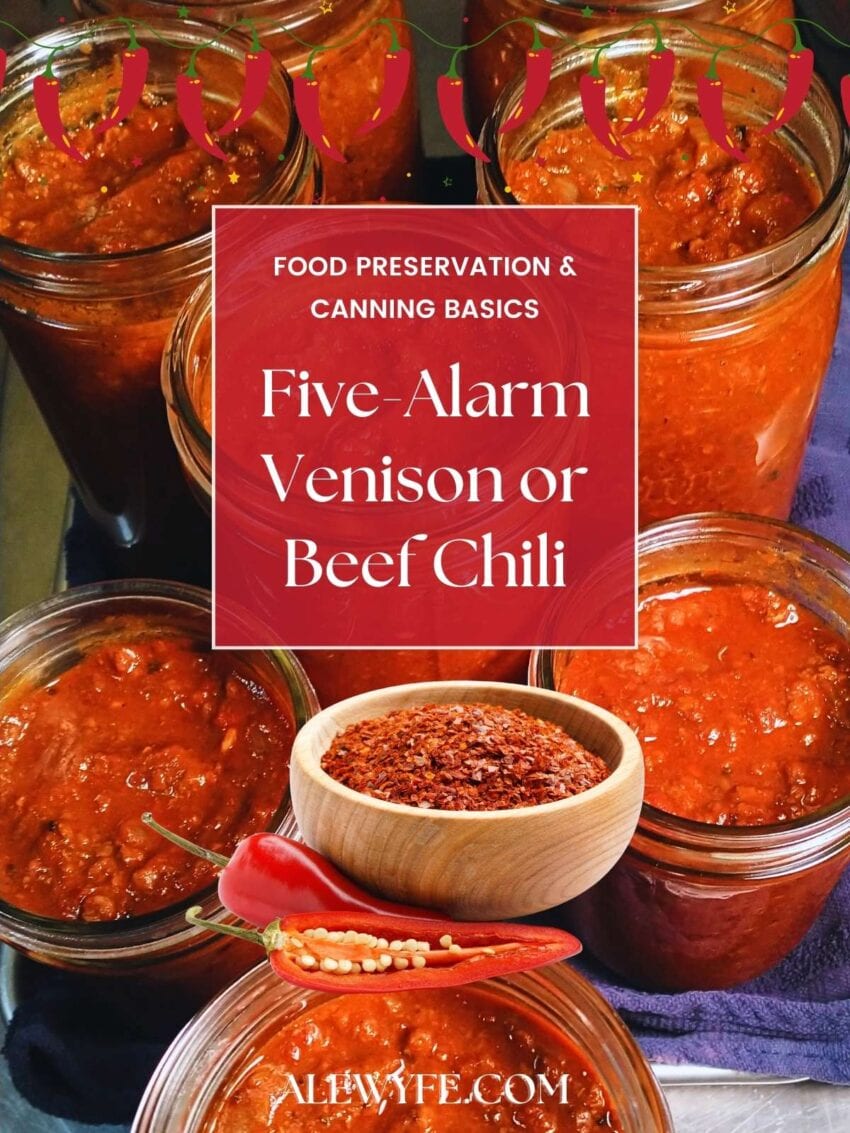 CANNING: Five-Alarm Venison (or Beef) Chili - ALEWYFE