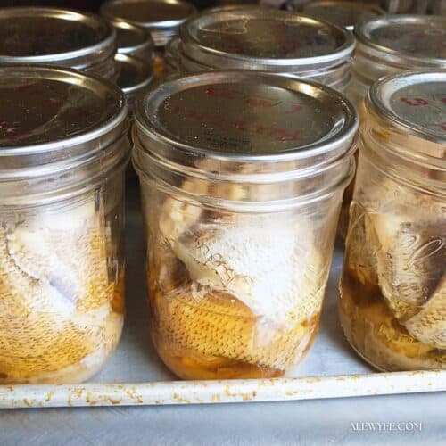 CANNING: How to Can Fresh Bluegill, Perch & Other Small Panfish