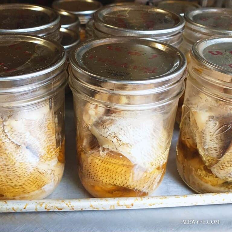 CANNING: How to Can Fresh Bluegill, Perch & Other Small Panfish
