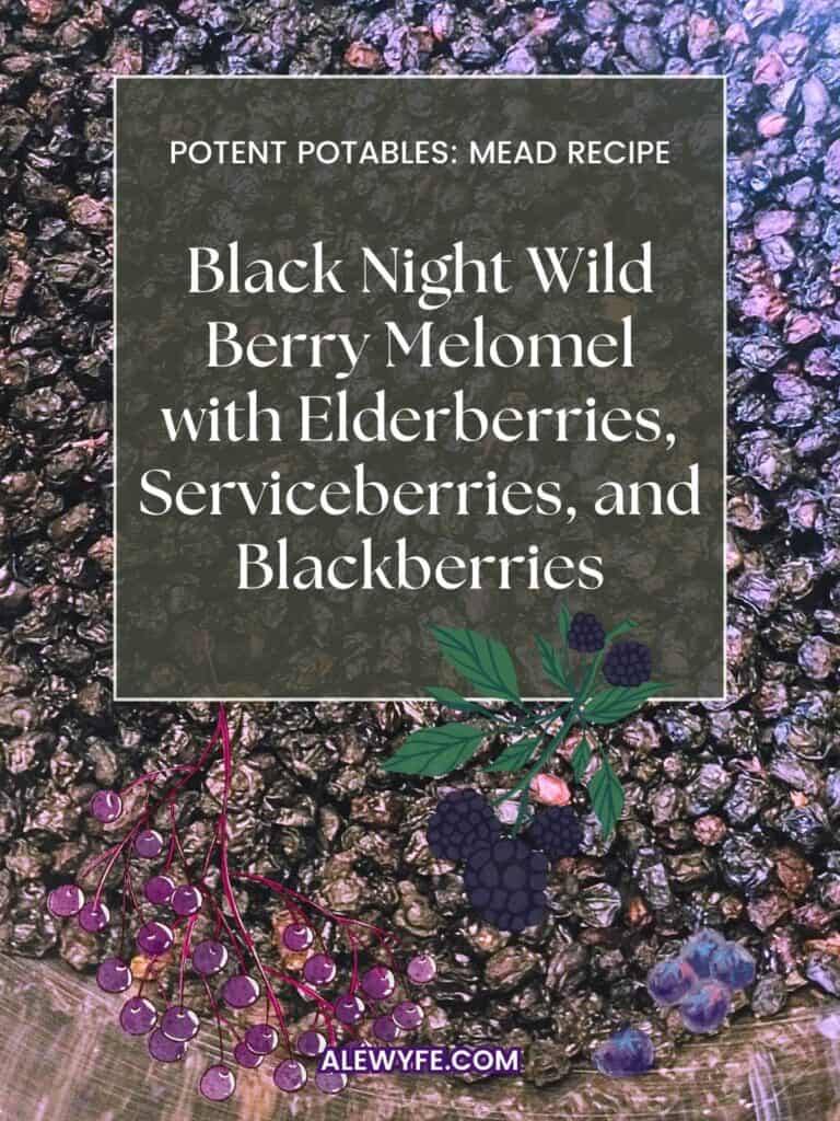 BREWING: Black Night Wild Berry Melomel with Elderberries ...