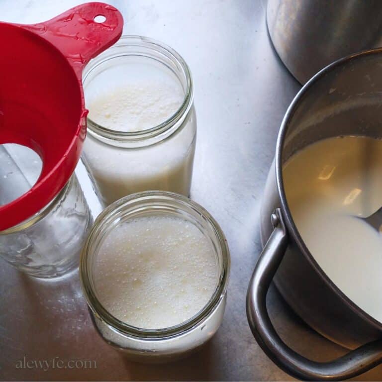 How to Make Homemade Yogurt (without a Yogurt Maker)