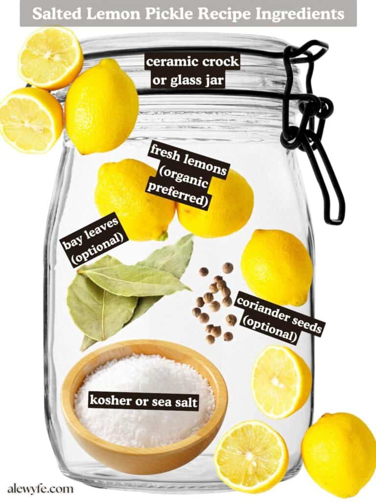 PRESERVE: How to Make Salted Lemon Pickles - ALEWYFE