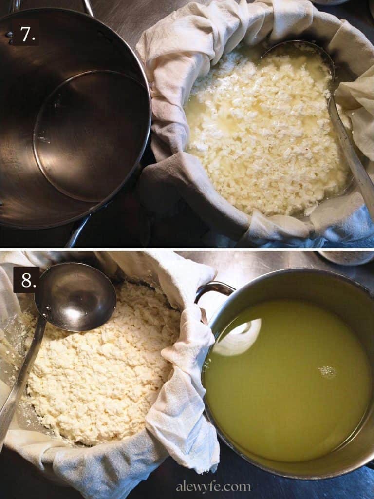 How to Make Paneer Cheese - ALEWYFE